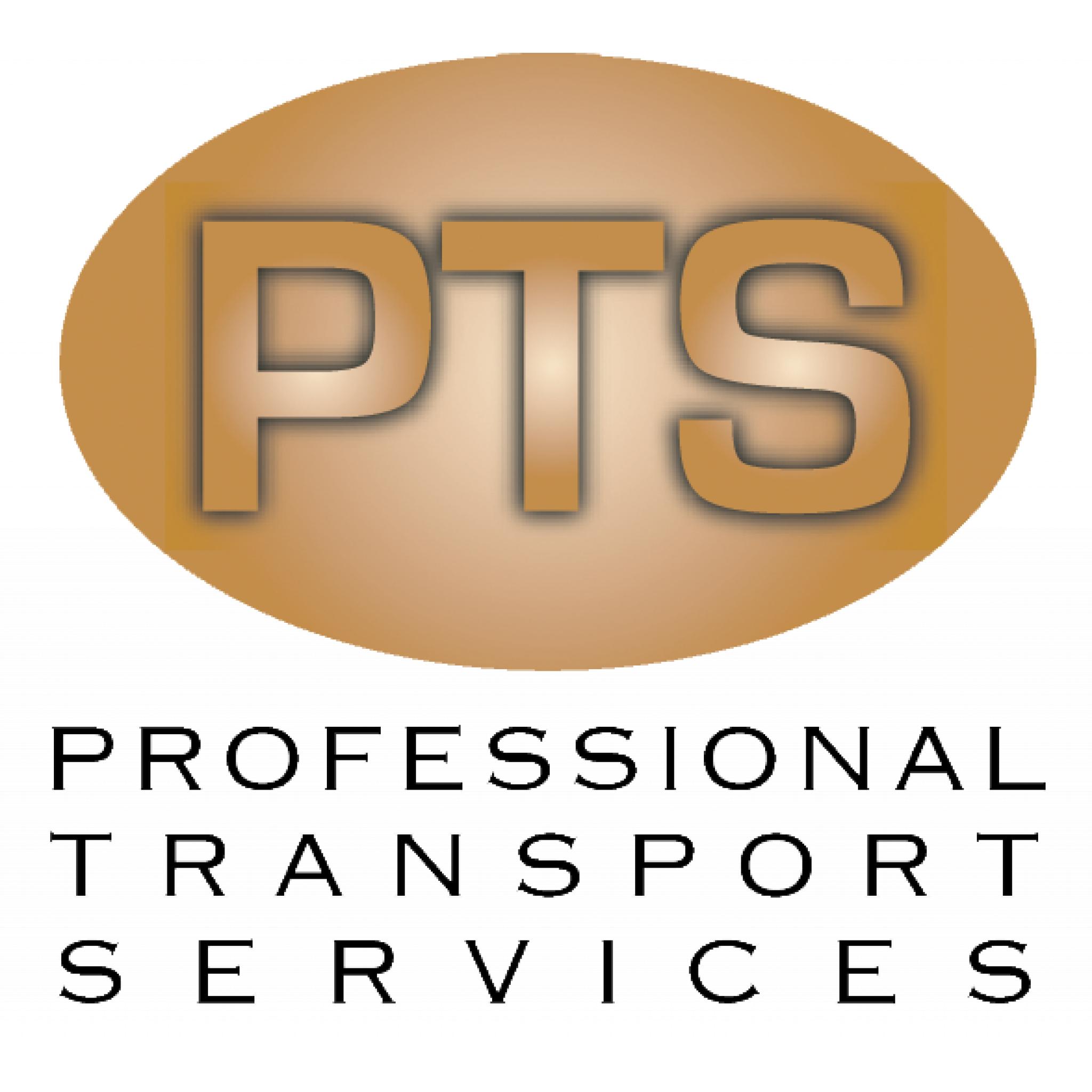 Professional Transport Services (Consultancy and Training))